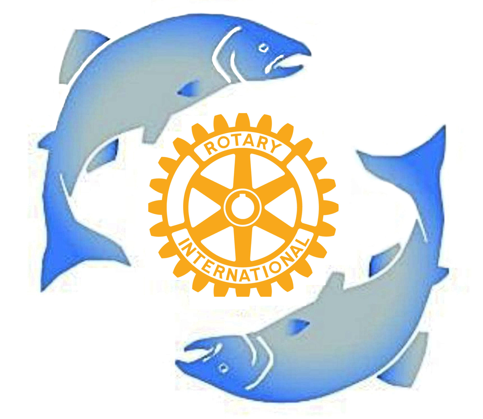Club Meeting at the Leif Erikson Lodge ⋆ Ballard Rotary